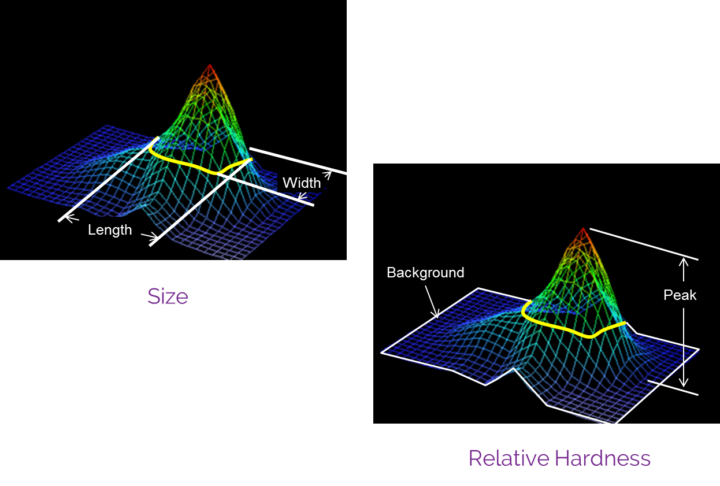 Clinical and commercial - Bexa